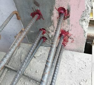 Cara Merawat Stek Besi Untuk Persiapan Rumah - Pinhome