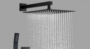 5 Jenis-jenis Shower dan Perbedaannya - Pinhome