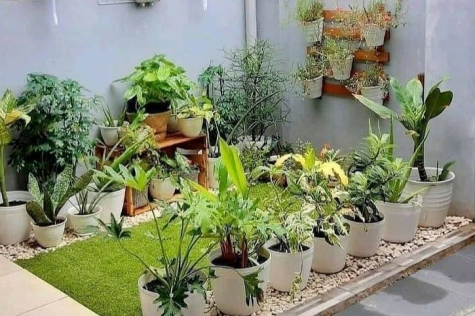 10 Inspirasi Taman Mini Belakang Rumah, Mungil dan Cantik!