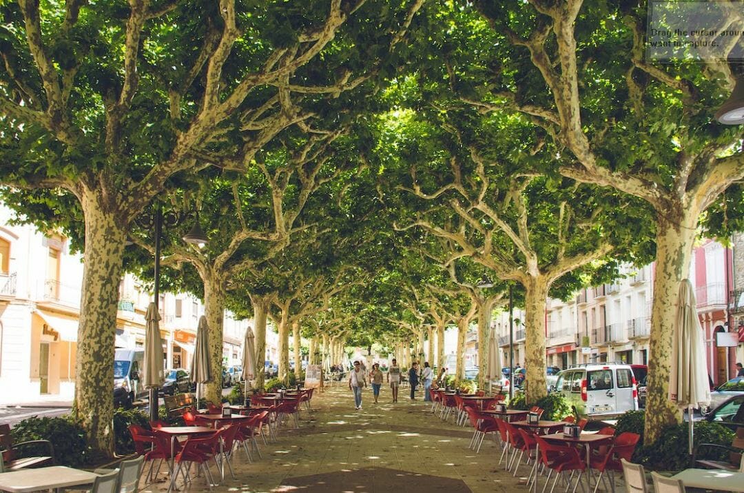 9 Inspirasi Atap Cafe Unik & Dekorasinya - Pinhome